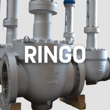 ARI-Armaturen Valves – Steam Valves